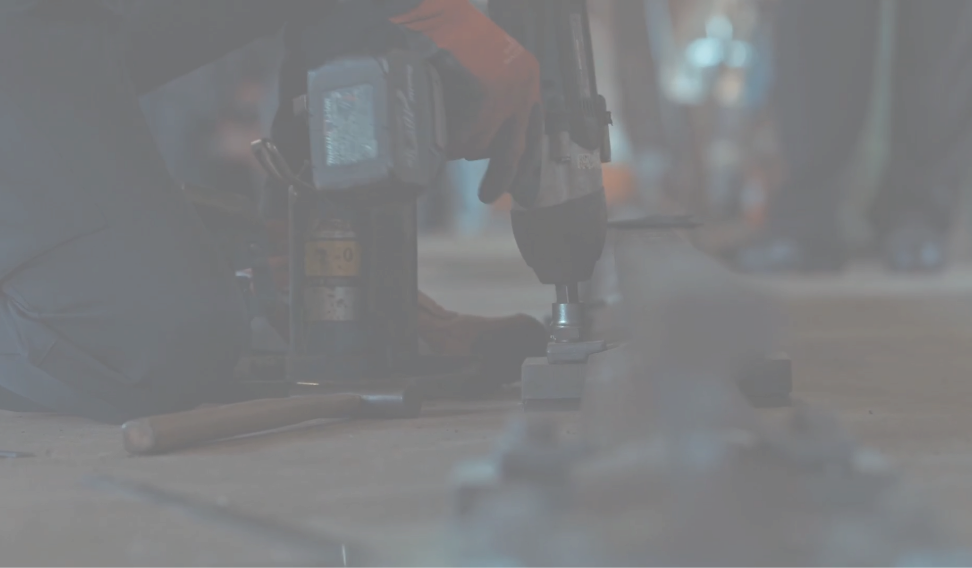 Nikkai Plant Kiko Company Profile